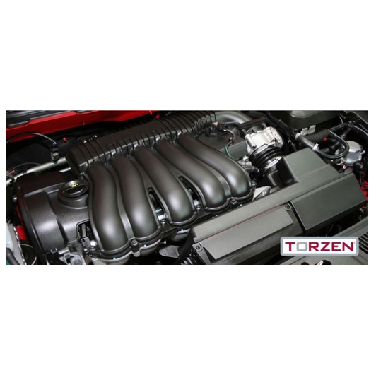 TORZEN® PA66 resin (High viscosity)